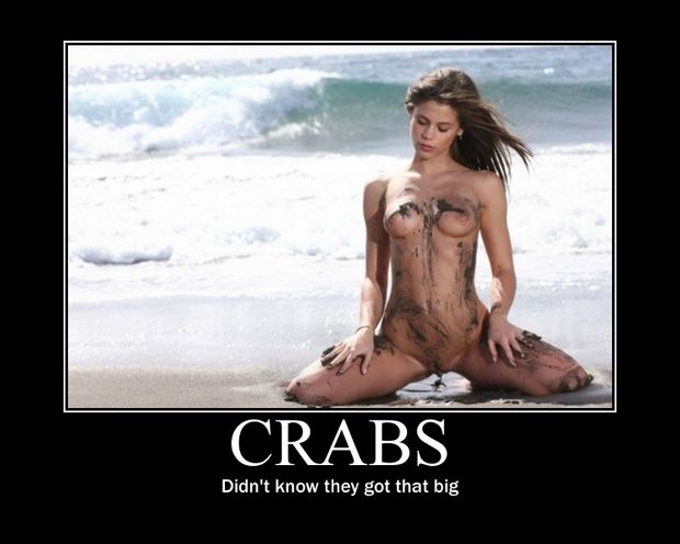 Crabs Hornyrandy