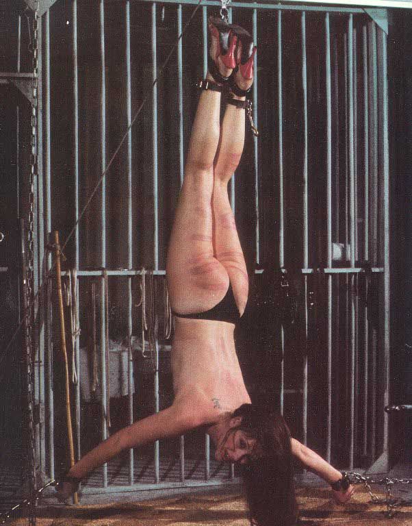 Incredible Bondage Vintage Picture Professor Frink