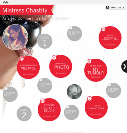 The Overview Page Of My Vizify Graphical Bio Punishtube