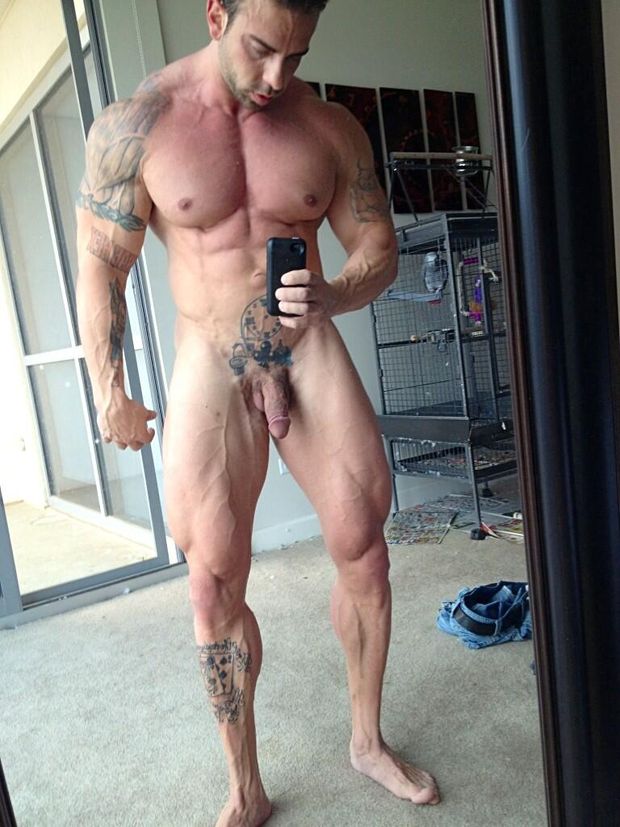 Kenny Lerose Jr Aka Xavier Muscle Gay Porn Gayporn