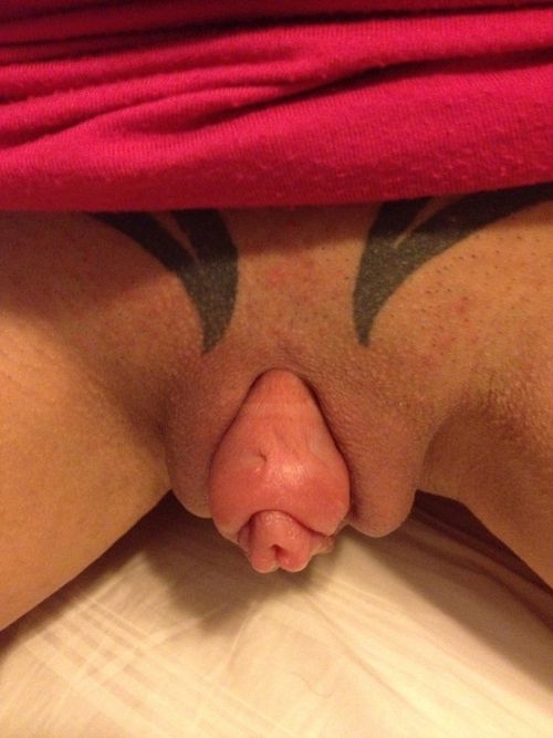 Awesome Vagina Picture Bnk3r
