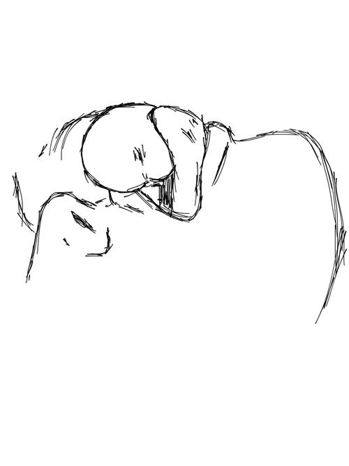 My Drawings Drmiller