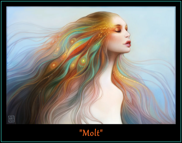 Molt Jimbr549