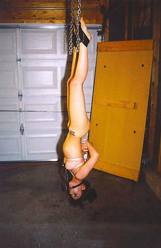 Invert Suspension Professor Frink