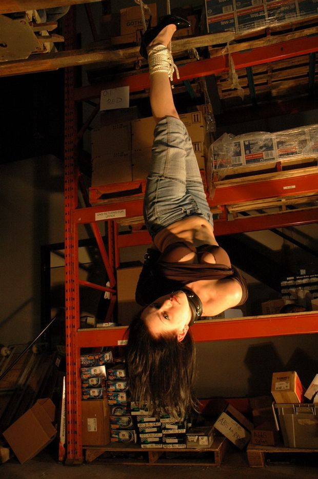 Invert Suspension Professor Frink