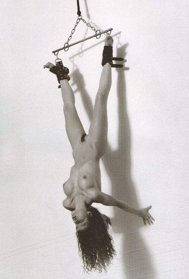 Invert Suspension Professor Frink