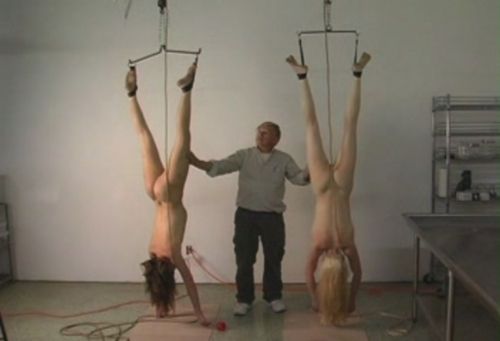 Invert Suspension Professor Frink 
