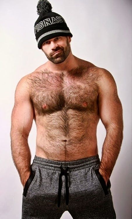 Beefy Gayestporn