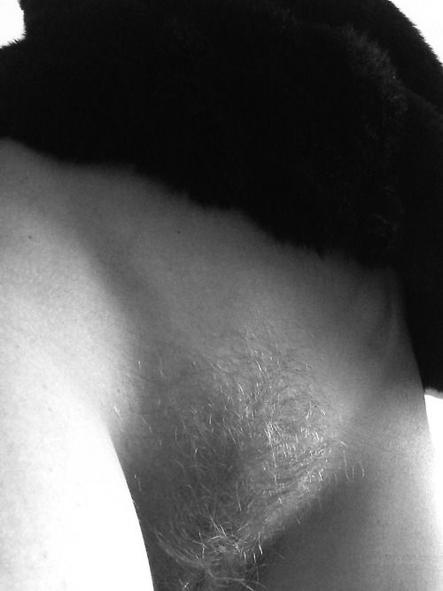 Mature Hairy Pussy Maturehairypussy