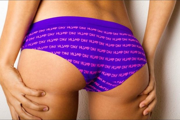 Purple Hump Day Chive Panties Russak20