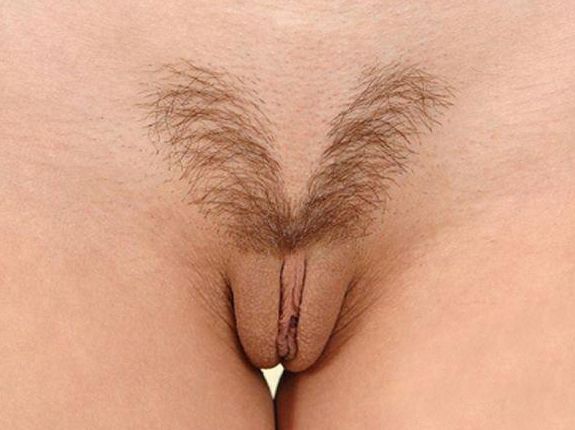 Buddylove Pubic Hair Art Pin 20717949