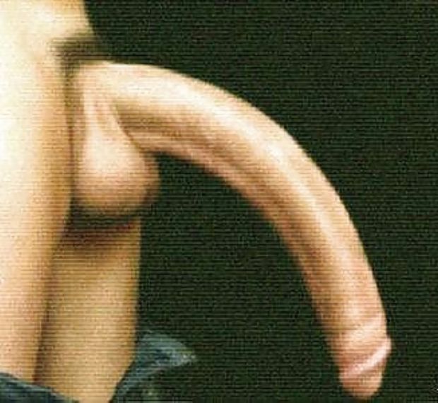 Apple Sausage And Bacon Beefy 11 Inch Cock