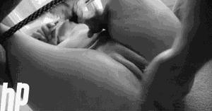 Squirter S