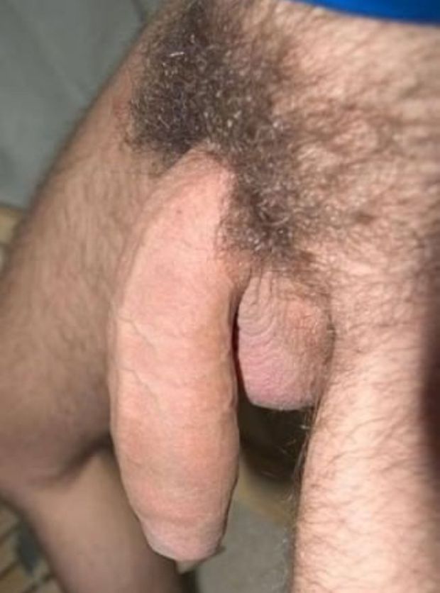 Humongous Chorizo Beefy 11 Inch Cock
