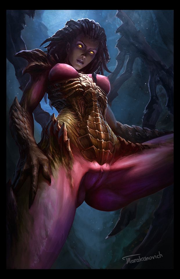Starcraft 6rainbow7
