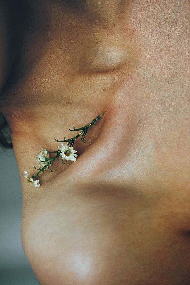 Theconsonant Collarbones Pin 26656209