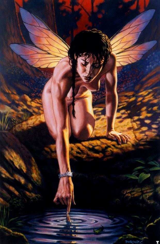 Dorian Cleavenger Reflections Raeynesong