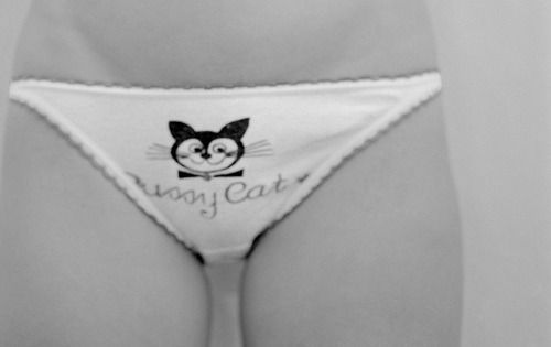 Cameltoe Cameltoeproject
