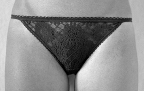 Cameltoe Cameltoeproject