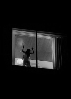 Window Fucking Pics