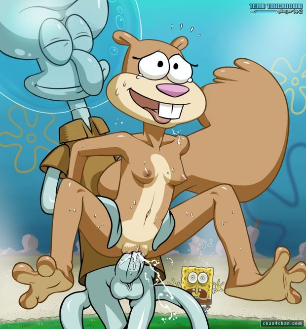 Calamardo Y Arenita Baner