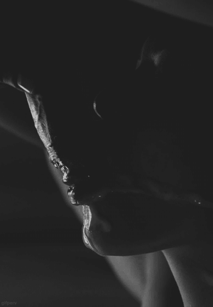 Silhouette S