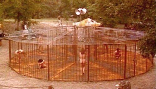 Trappist Cage Pin 40001174