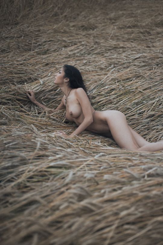 Nude In The Hay G48r13l