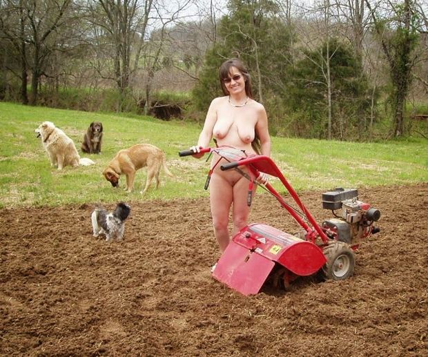 Rototiller Turnus