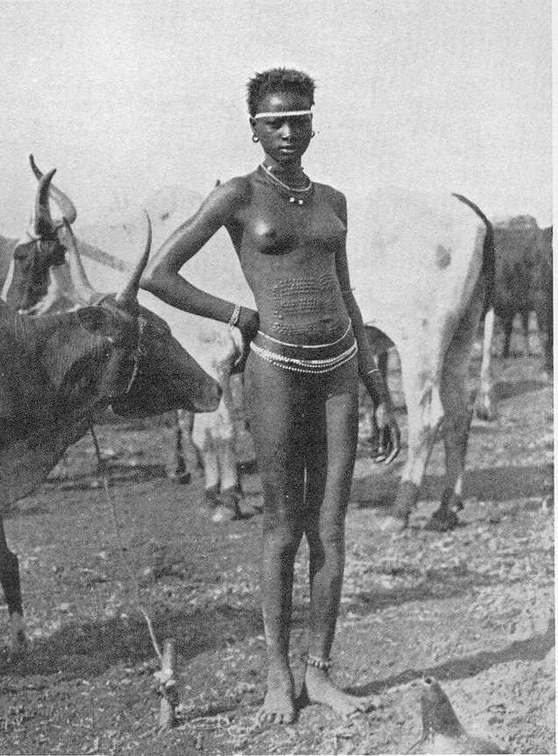 Tribal Funktastrophe
