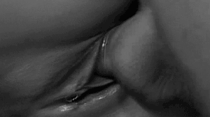 Xxx Pussy S Sex