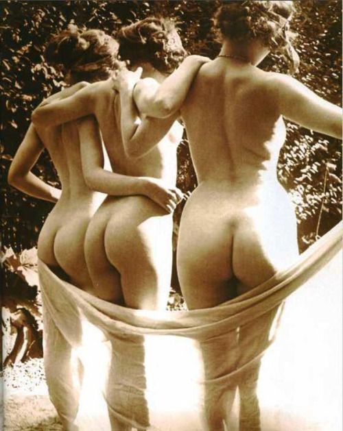 Derrières From Latrium” Photographed By Vintagehotties