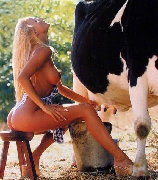 Cowgirl No1 Ancarali