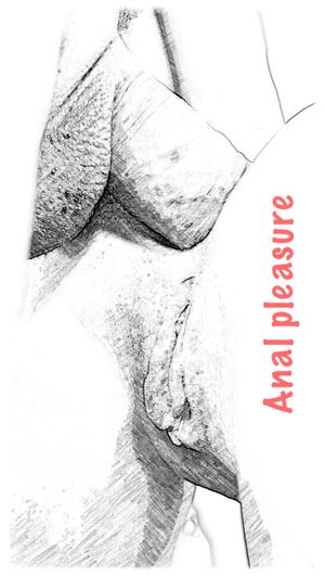 Anal Art Pics
