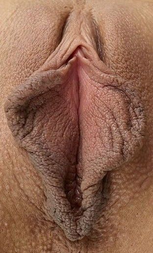Jjaaoo Pussy Up Close Pin 55323235
