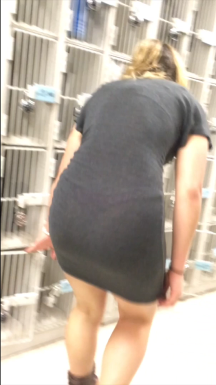 Vpl Luigi612