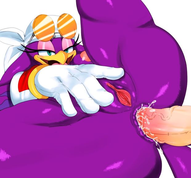 Sonic The Hedgehog Series Sega Wave The Swallow Siriusbeesnas