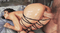 Thesecretsin Sex Pussy Pin 55809870