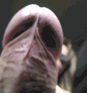 S Pornos Shemale Tranny