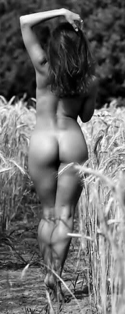 Cornhole In The Corn Field Rockemsockem9