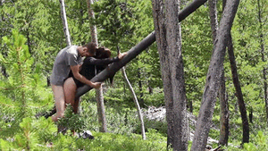 Tree S