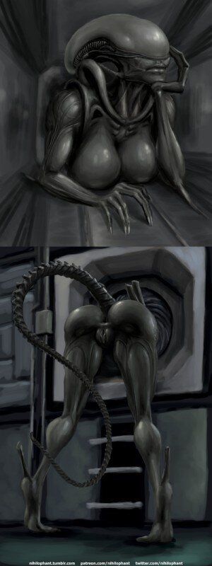 Xenomorph Pics