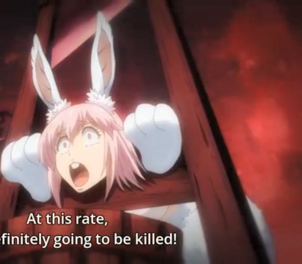 The Rabbit Execution Ritosan