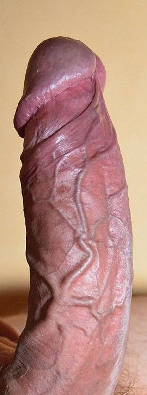 Beautiful Erection Tseva95