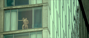 Window S