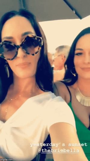 Bella Twins S