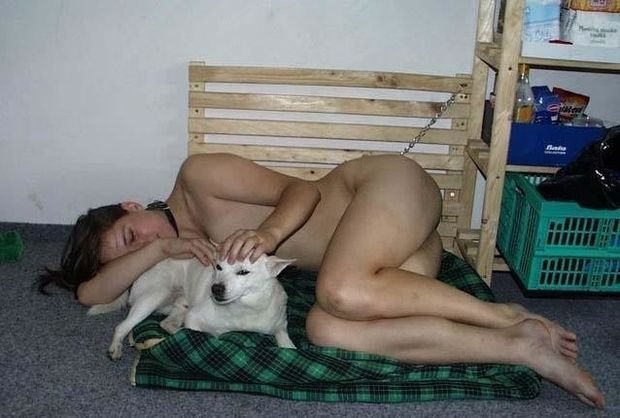 Perra Y Perro Pheddy