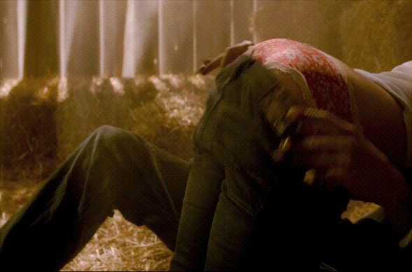 Wolves Barnyard Scene Mrpsycho2000