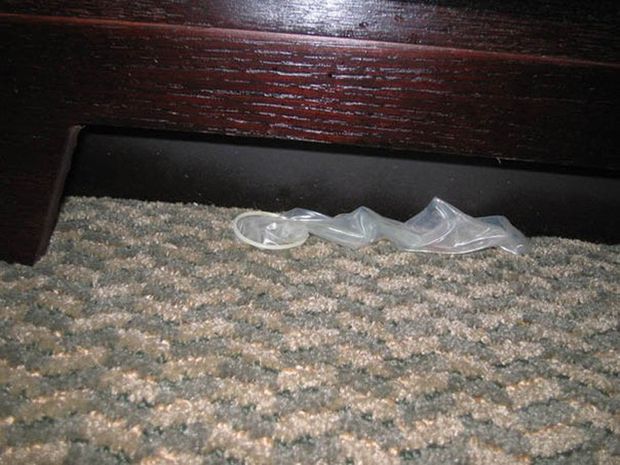 Under The Cupboard Aquilifer