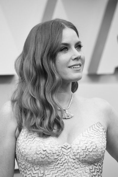 Amy Adams Oscars 2019 Black And White Iv Rider8344
